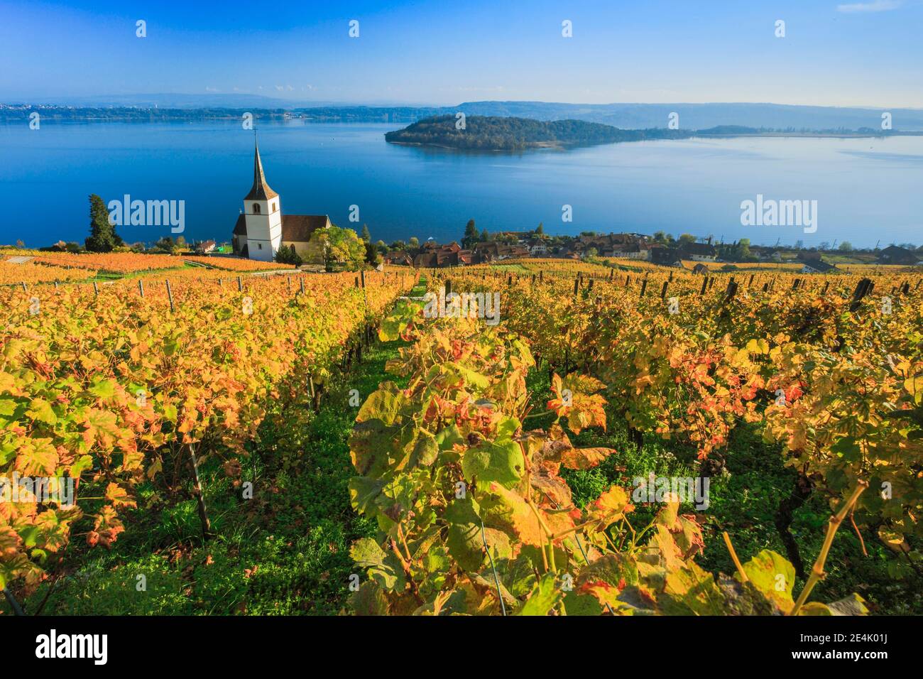 Ligerz on Lake Biel, Bern, Switzerland Stock Photo - Alamy