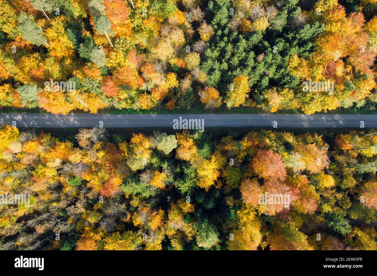 Tree line forest hi-res stock photography and images - Alamy