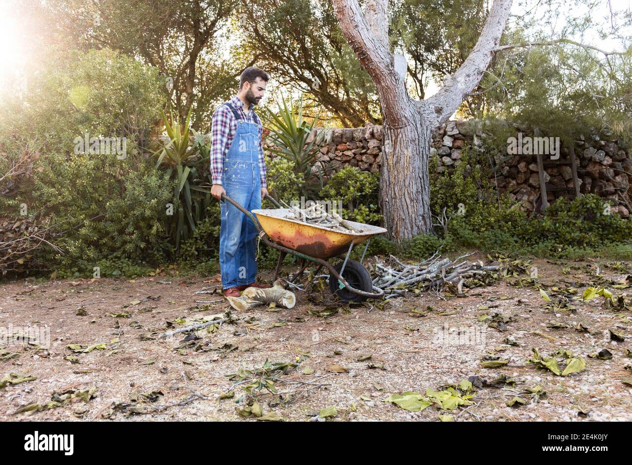 Cart filled hi-res stock photography and images - Alamy