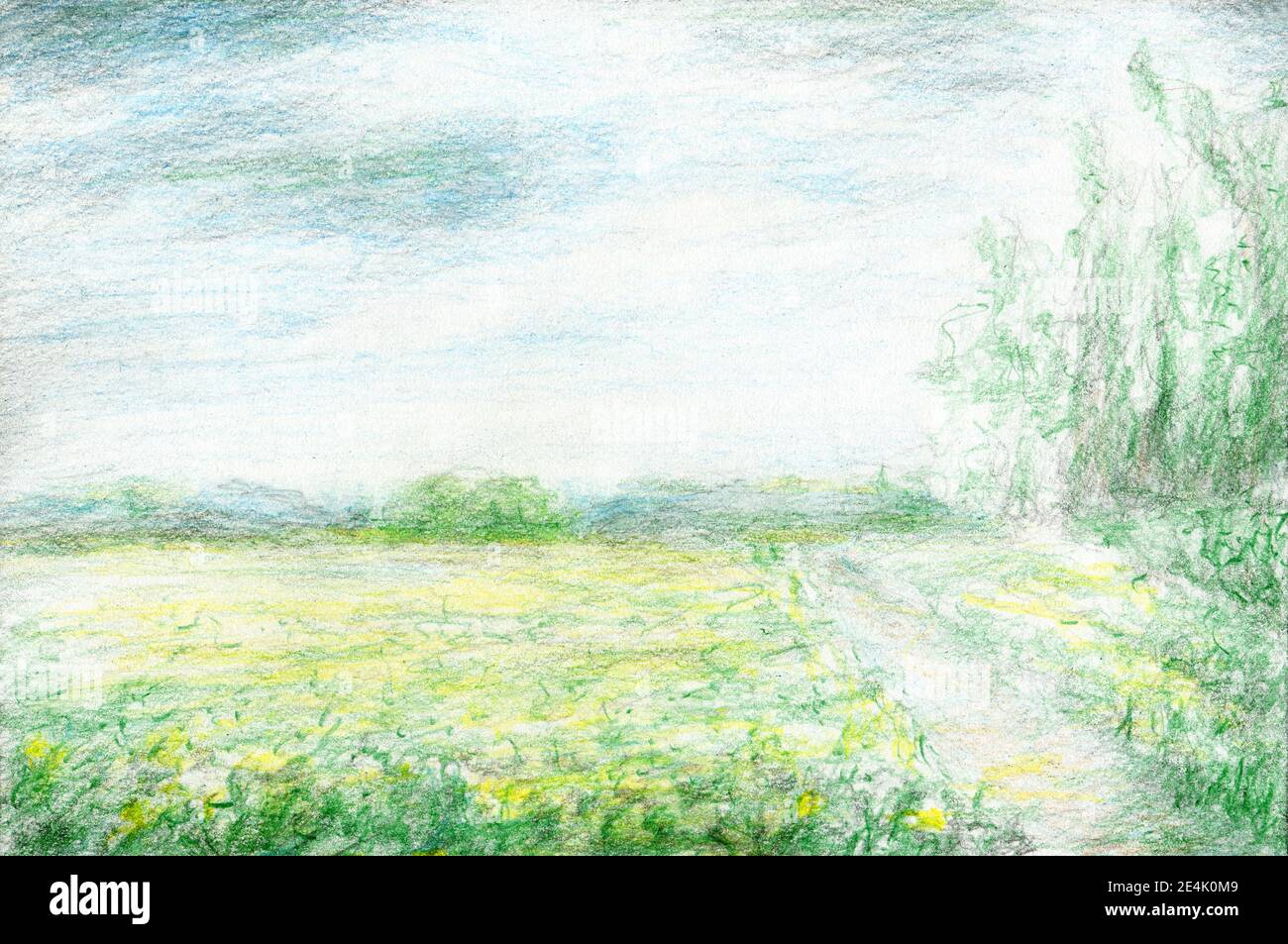 Field Pencil Drawing