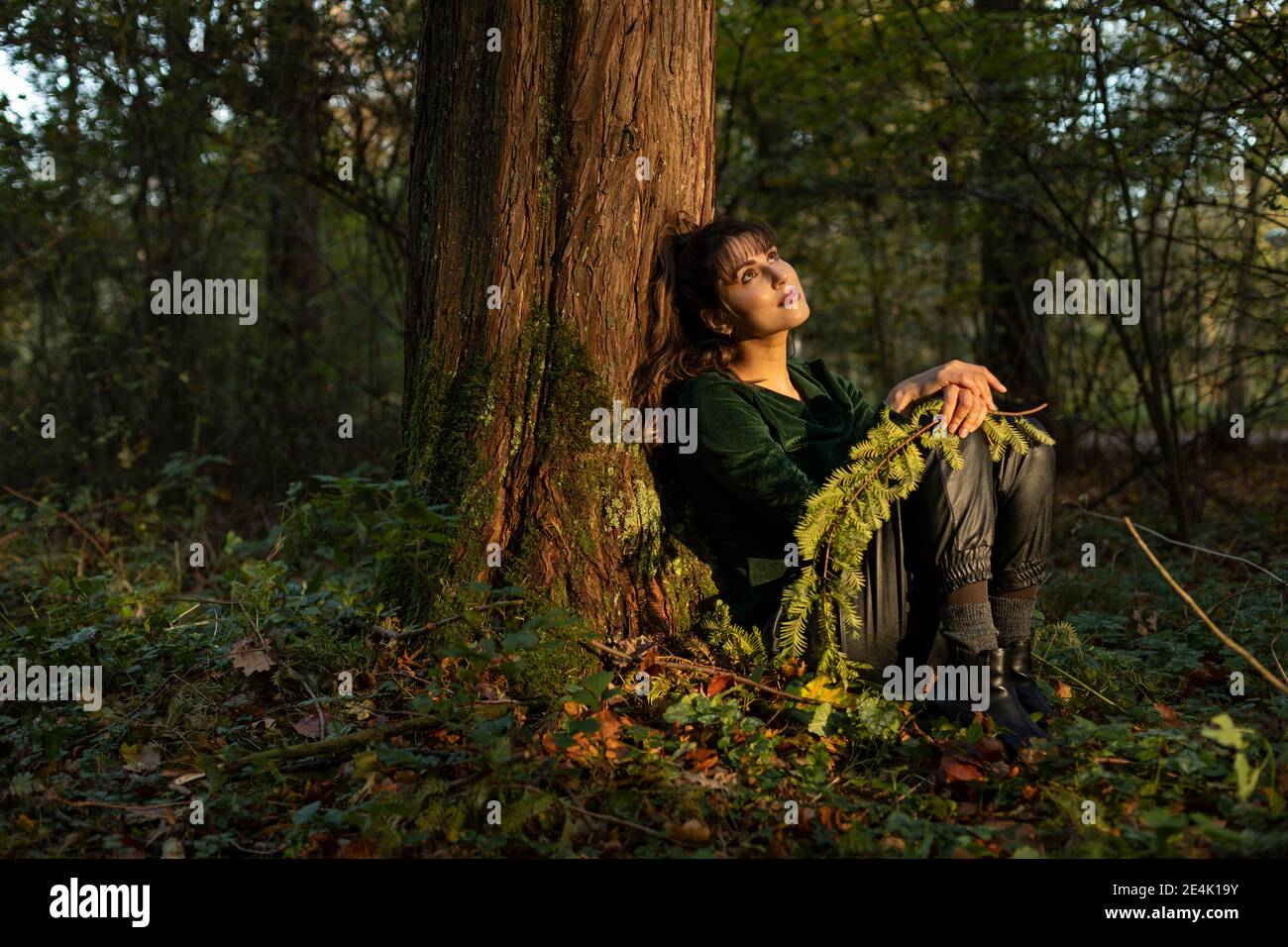 Dreaming tree hi-res stock photography and images - Alamy