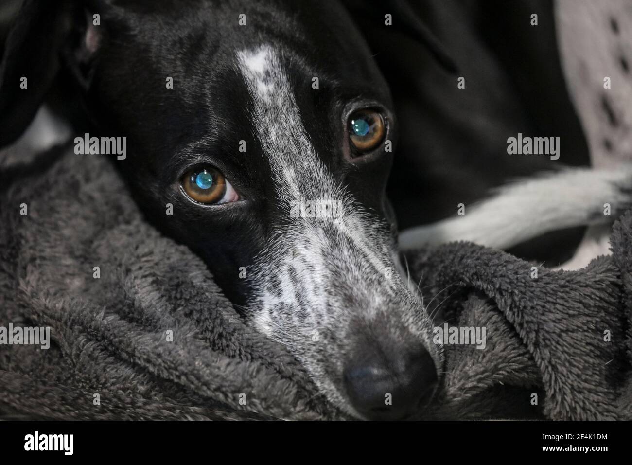 Be full of curiosity hi-res stock photography and images - Alamy