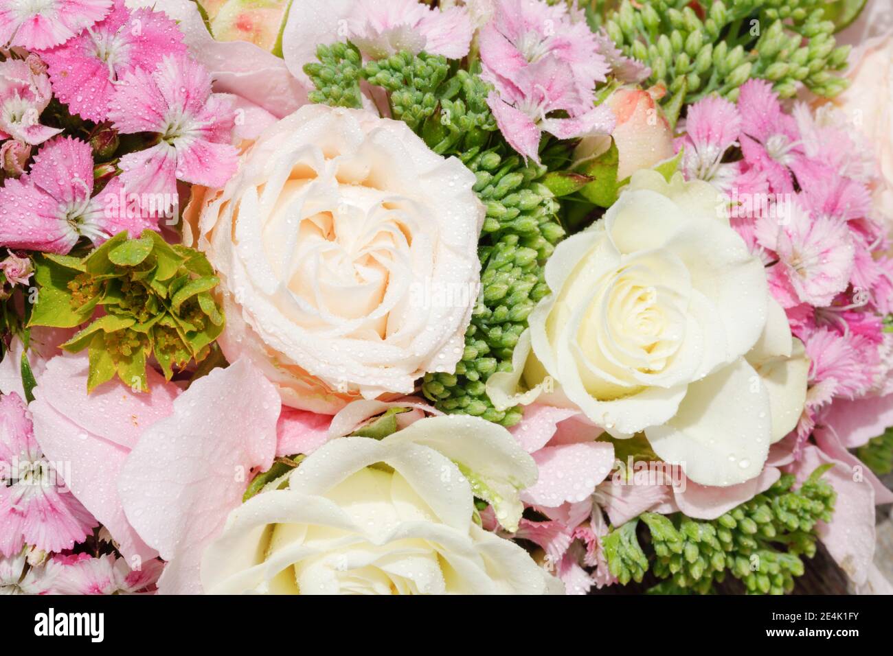 Detail of green flowers hi-res stock photography and images - Alamy