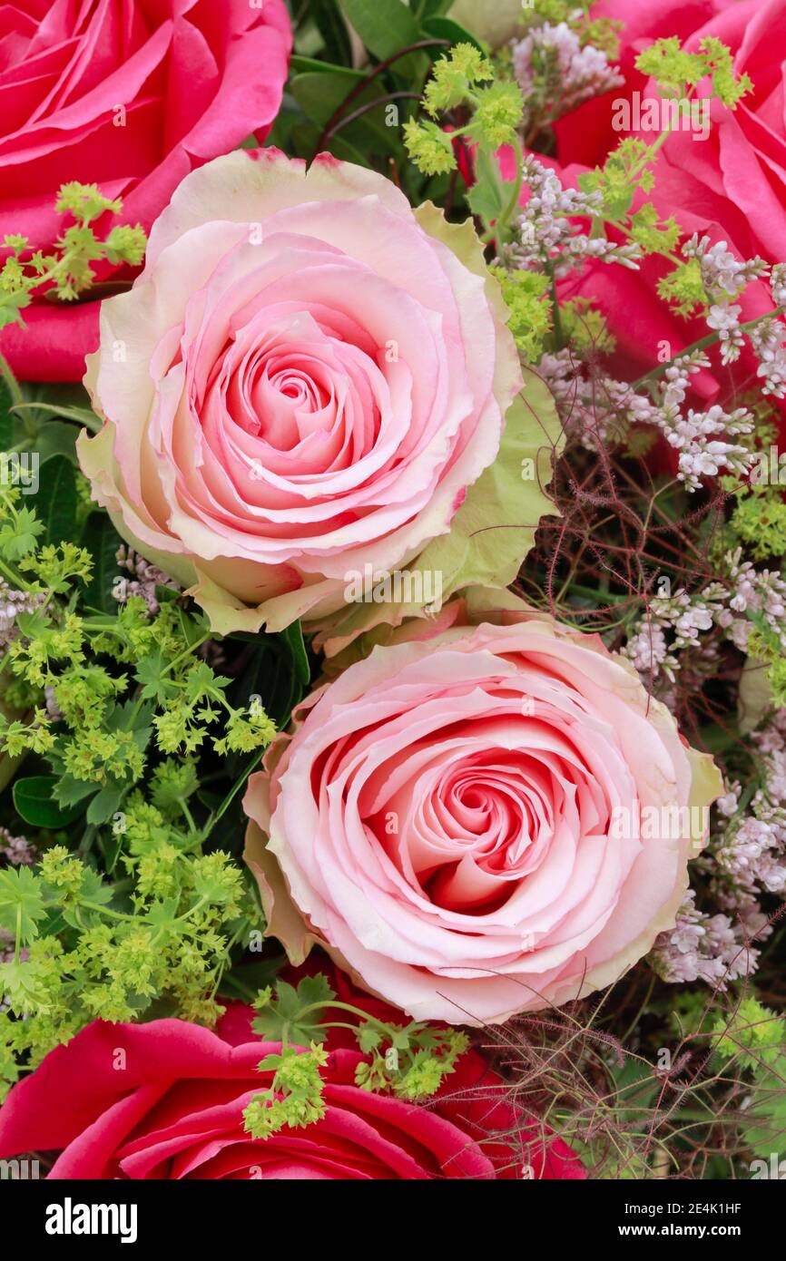 Bouquet Detail, Flower Arrangement Stock Photo - Alamy