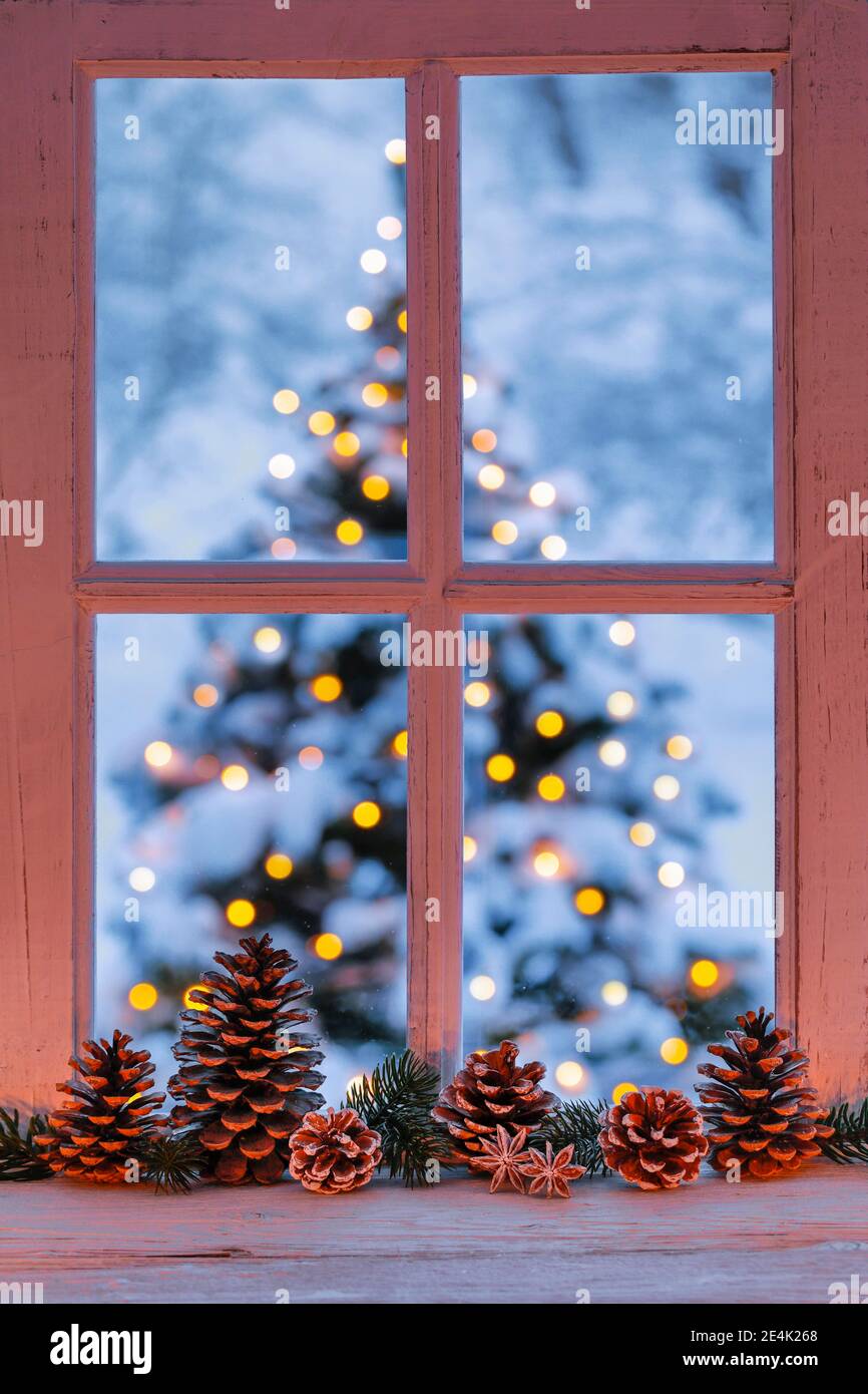 Window with view of illuminated Christmas tree Stock Photo - Alamy