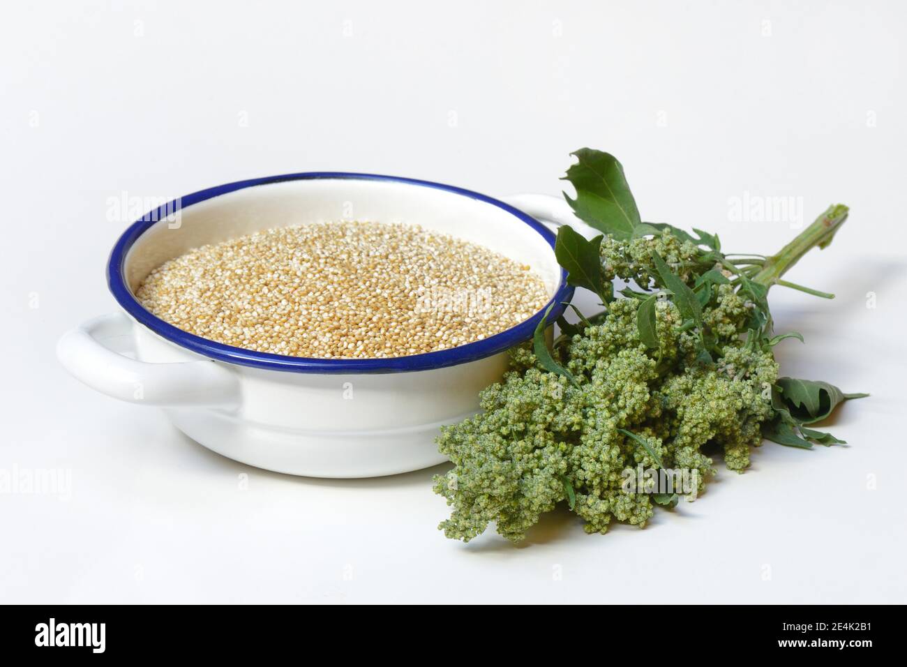 Quinoa plant hi-res stock photography and images - Alamy