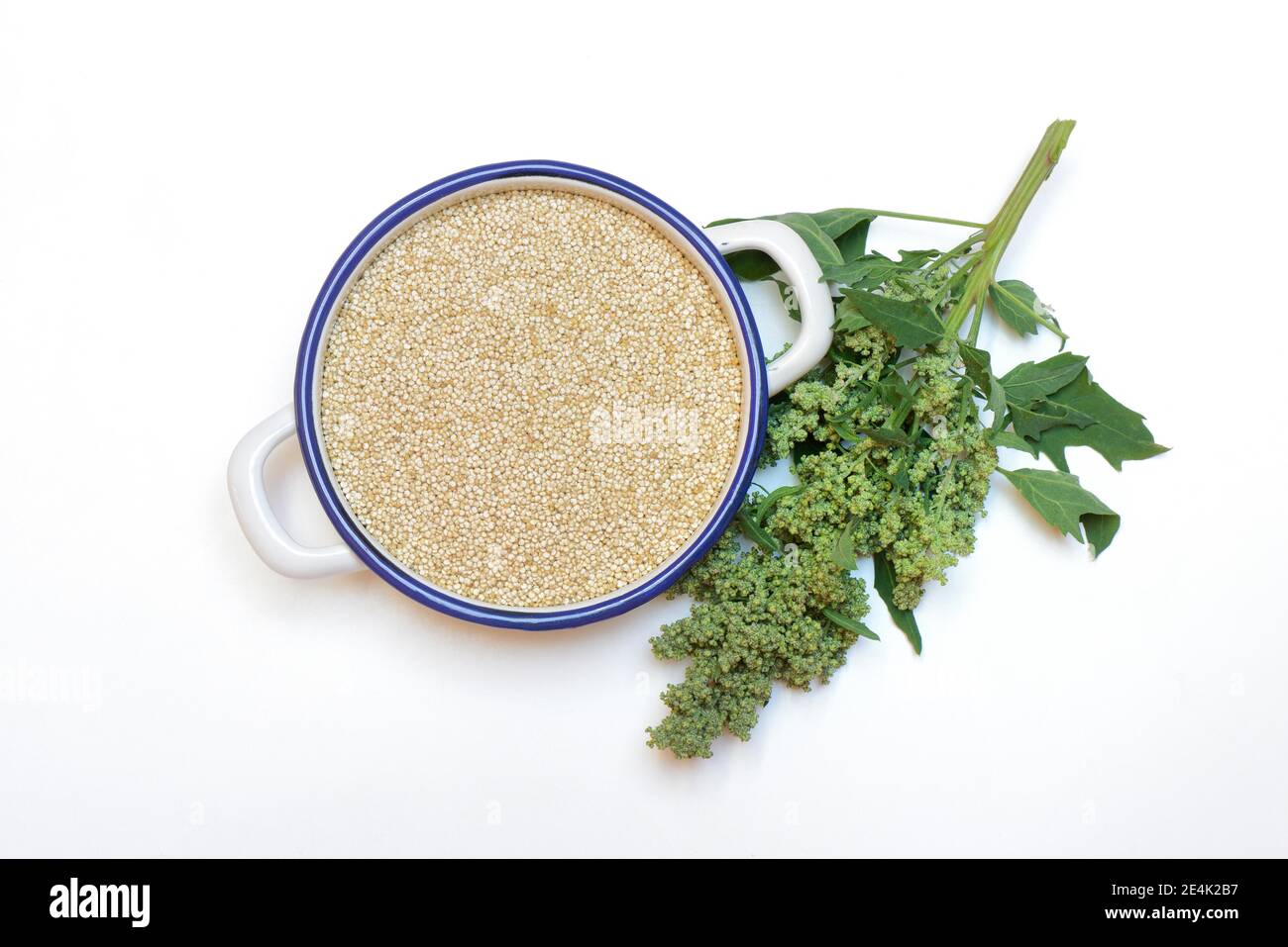 Quinoa plant hi-res stock photography and images - Alamy