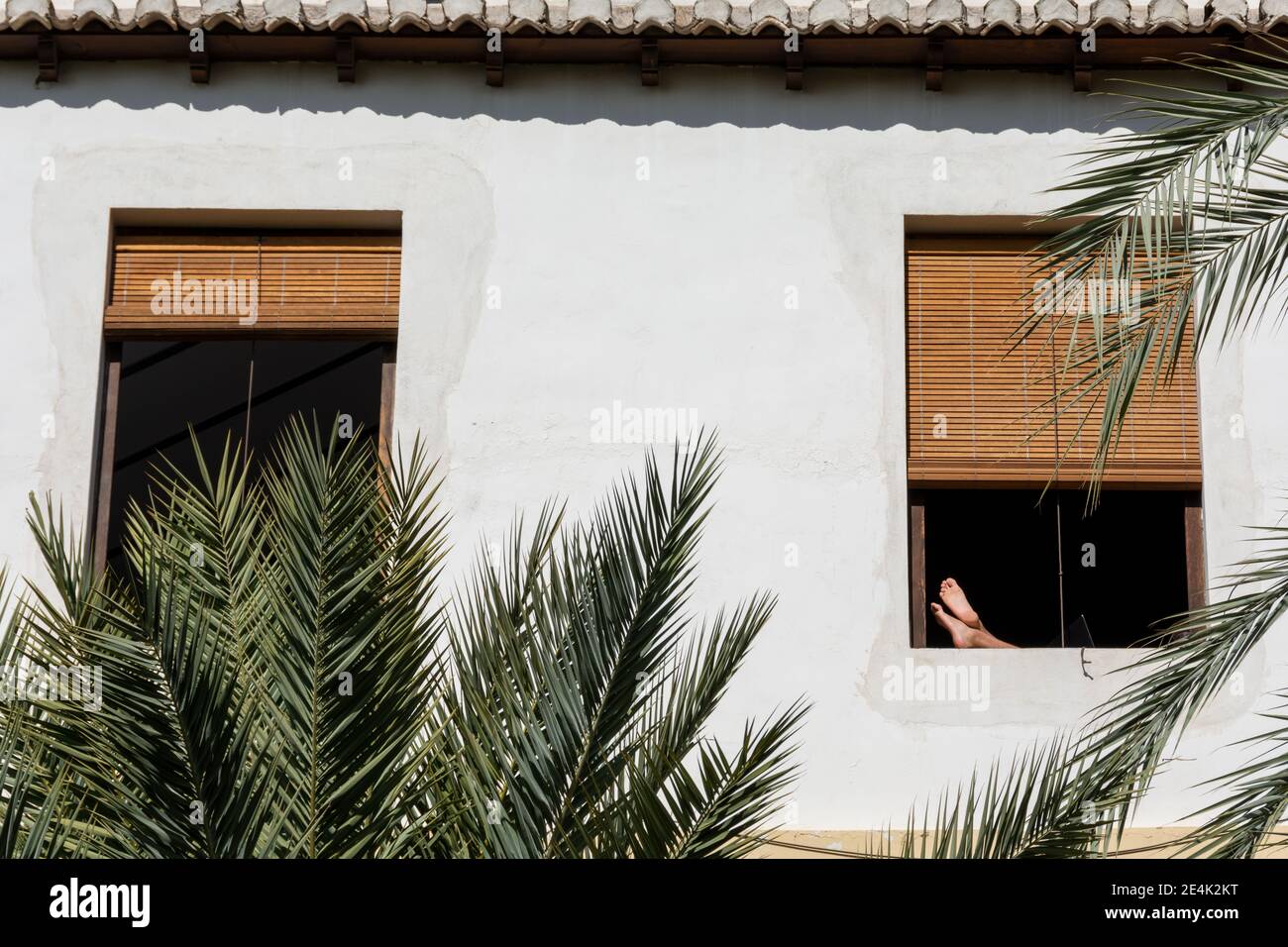 Man peeking out window hi-res stock photography and images - Alamy