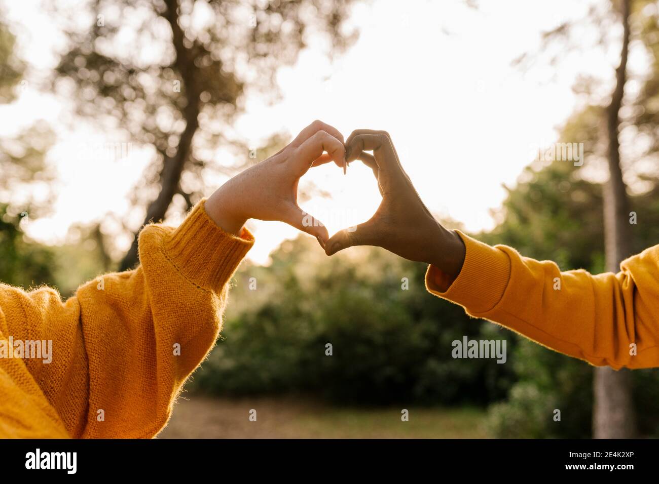 Two People Making A Heart With Their Hands