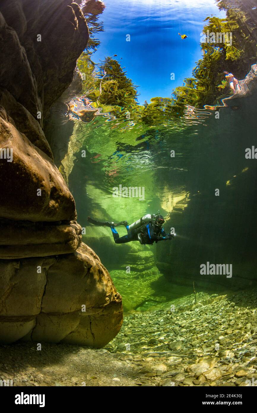 Diving river hi-res stock photography and images - Alamy