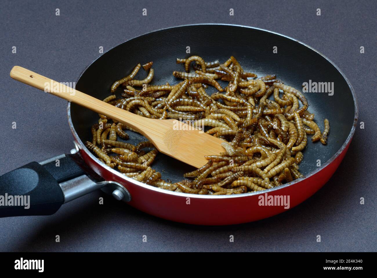 Fried mealworms in pan, Tenebrio molitor Stock Photo - Alamy
