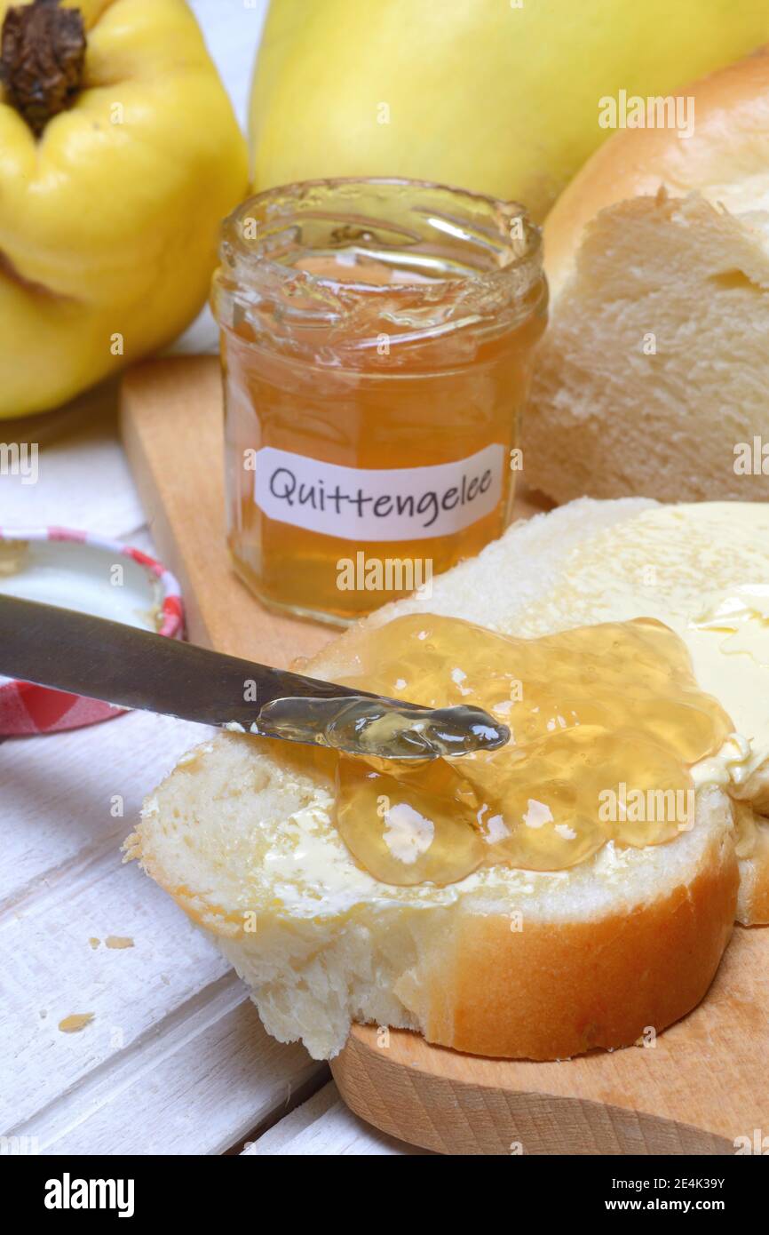 Slice of butter plait with quince jelly, quince jelly, Cydonia oblonga ...