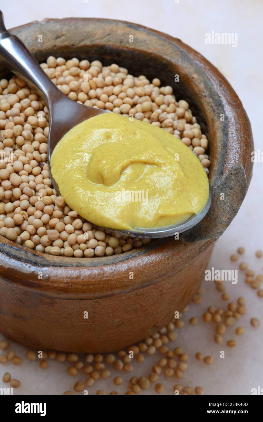 Mustard plant production hi-res stock photography and images - Alamy