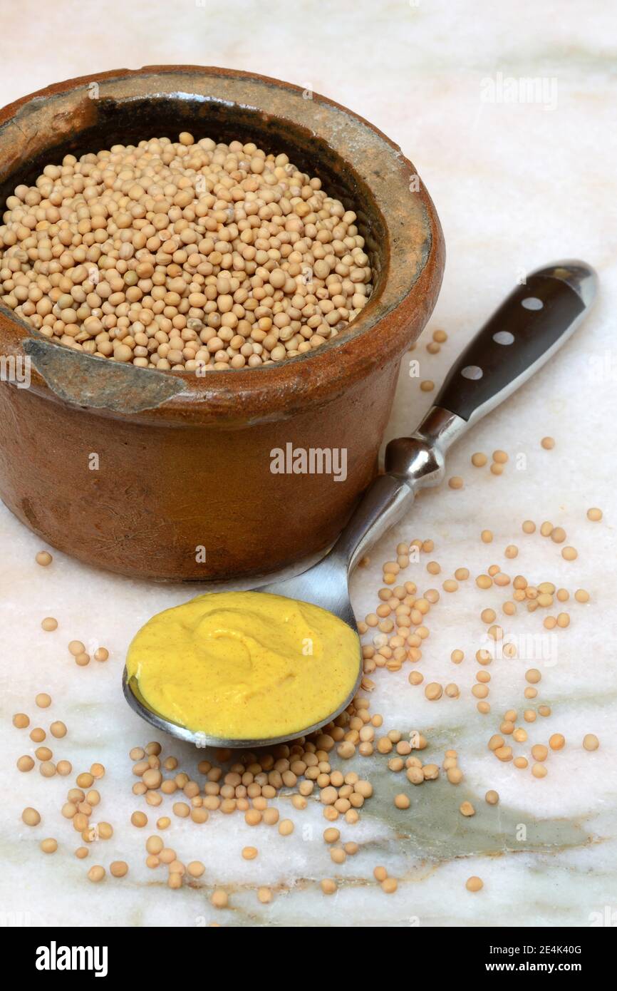 Mustard seeds and mustard Stock Photo - Alamy