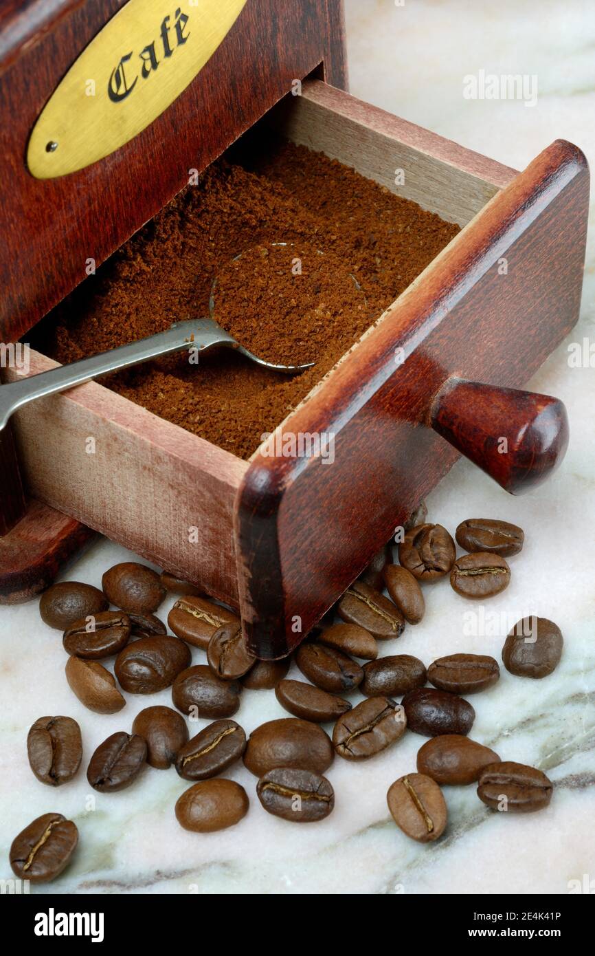 Coffea arabica interior hi-res stock photography and images - Alamy
