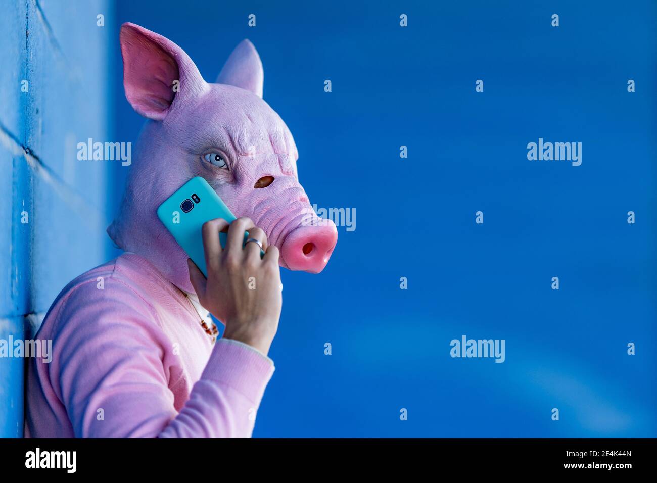 Porky Pig Mask