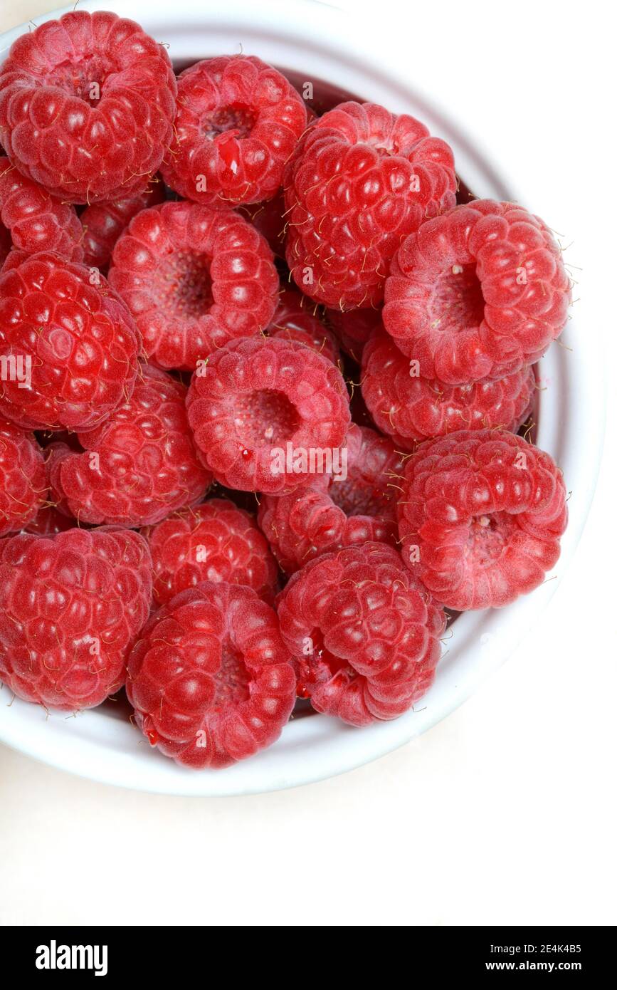 Rosaceae skin hi-res stock photography and images - Alamy