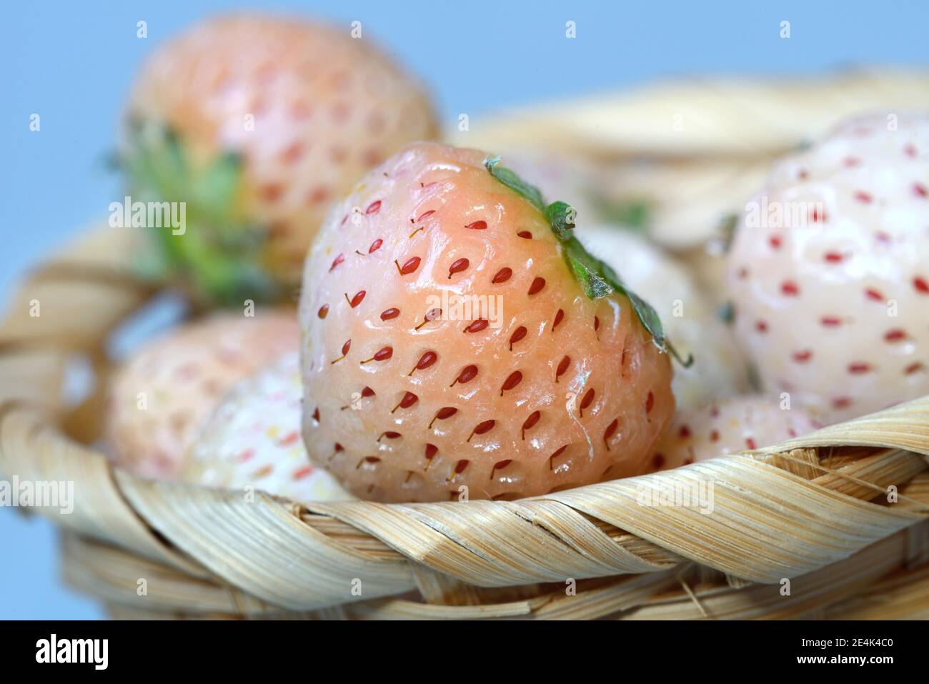 White strawberries in basket, Fragaria x pineapplesa, pineapple berry ...