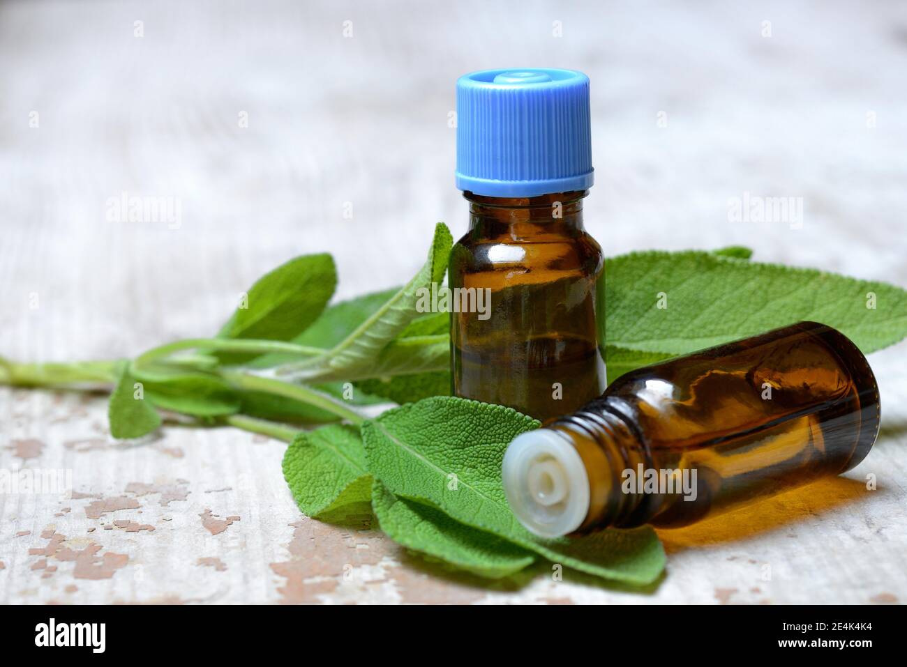 Sage oil in bottles and sage leaves, Salvia officinalis, sage oil, sage ...