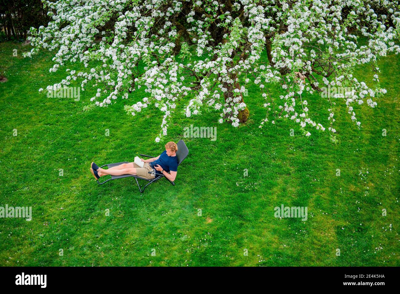 Man resting under tree hi-res stock photography and images - Alamy