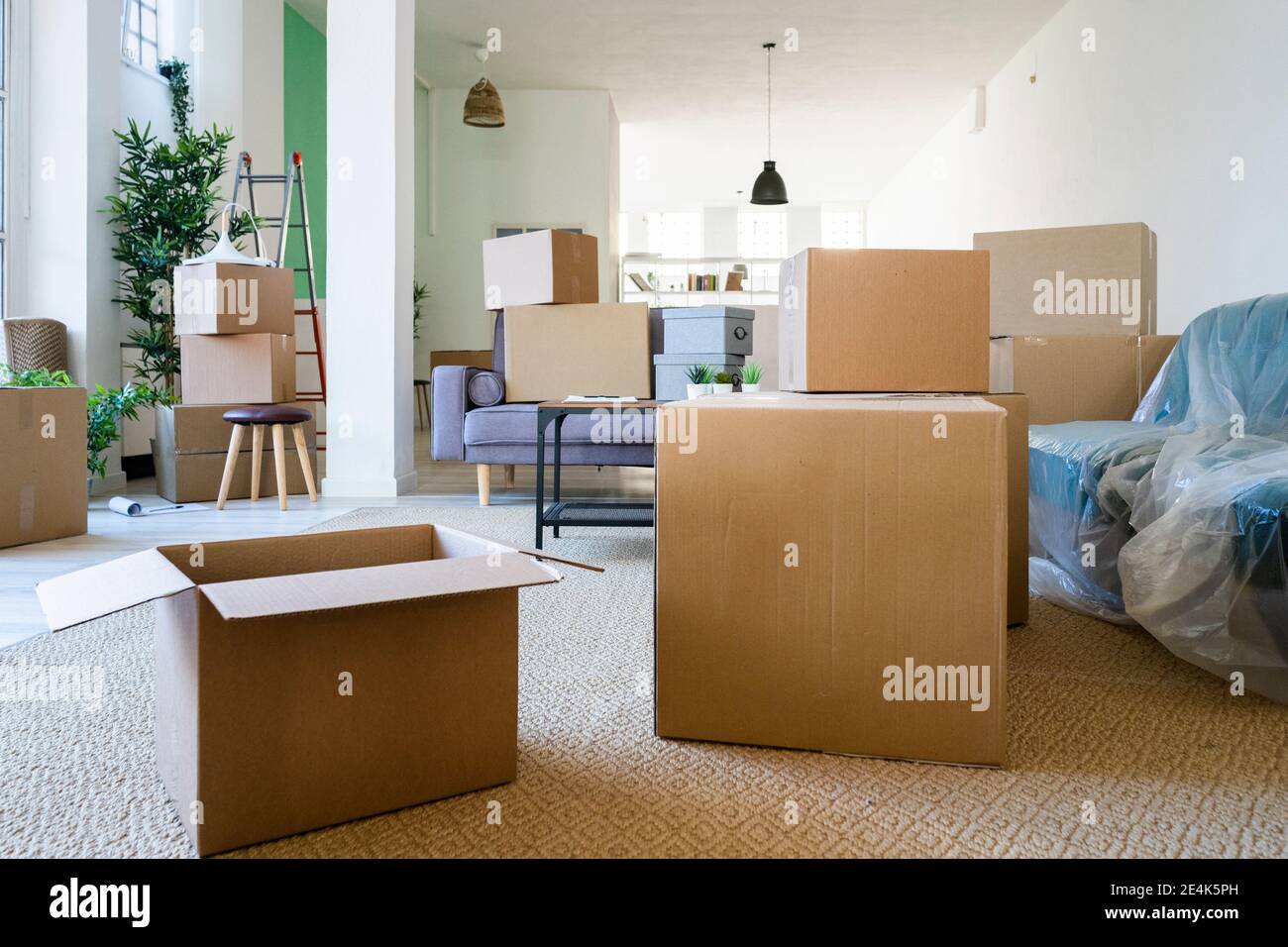 Living room full of cardboard boxes in new loft apartment Stock Photo ...
