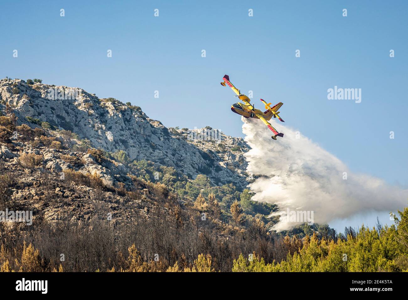 Firefighting aircraft forest hi-res stock photography and images - Alamy