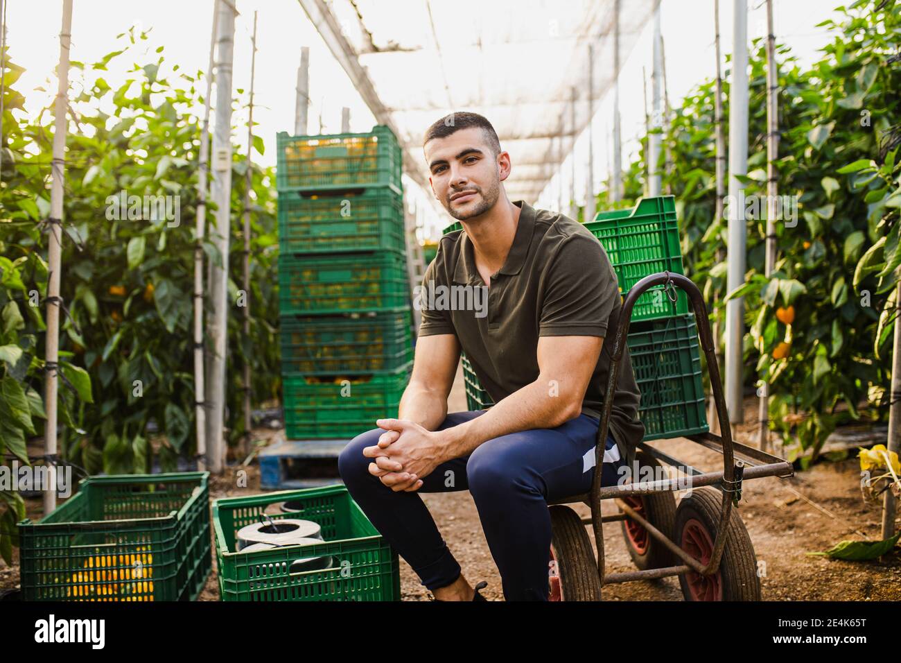 Confident young male farm worker sitting on cart by crates against ...