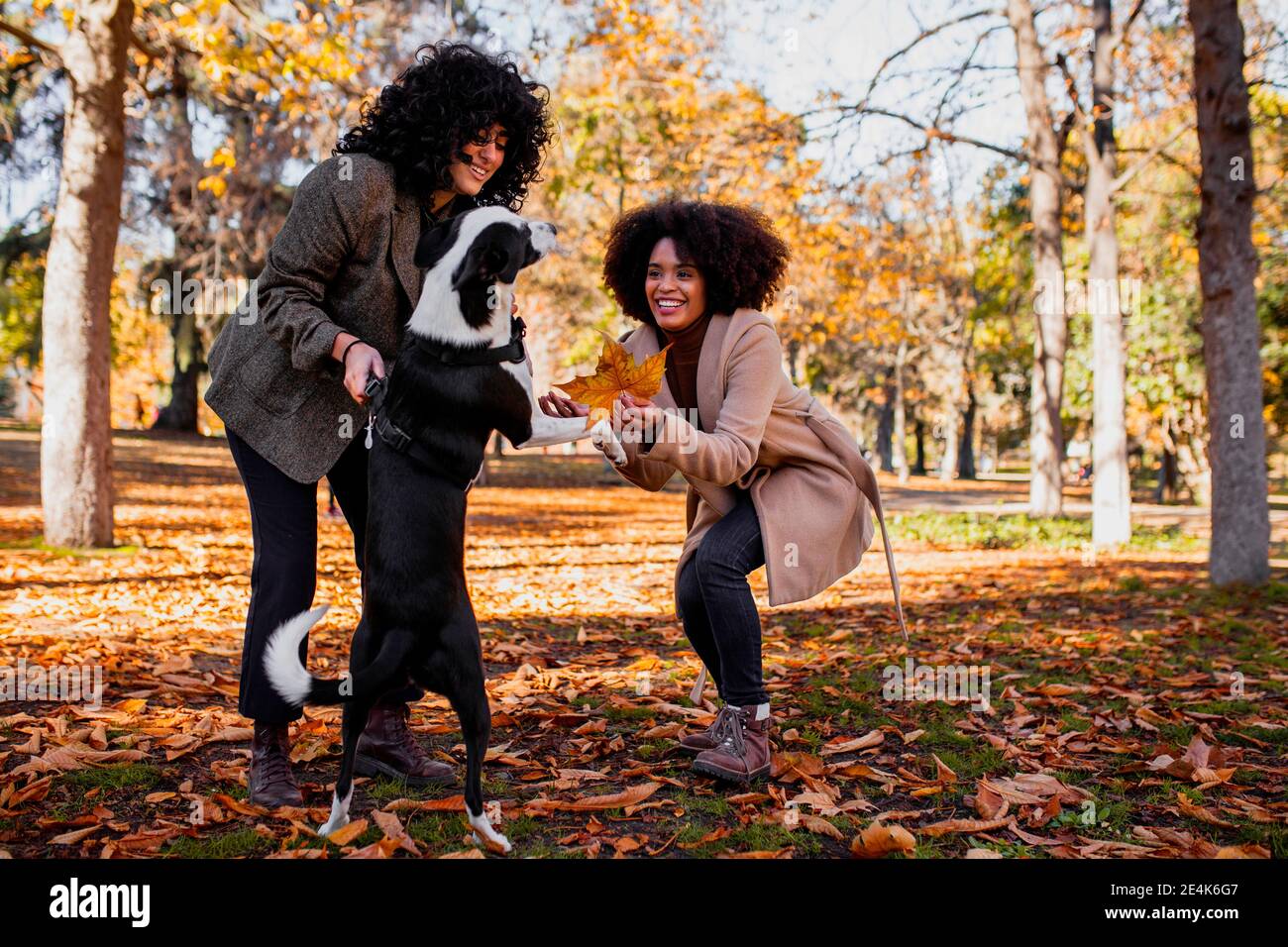 Friends playing dog multiethnic hi-res stock photography and images - Alamy