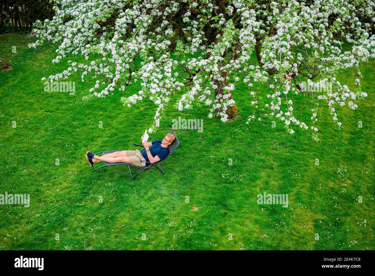 Chair under tree hi-res stock photography and images - Alamy