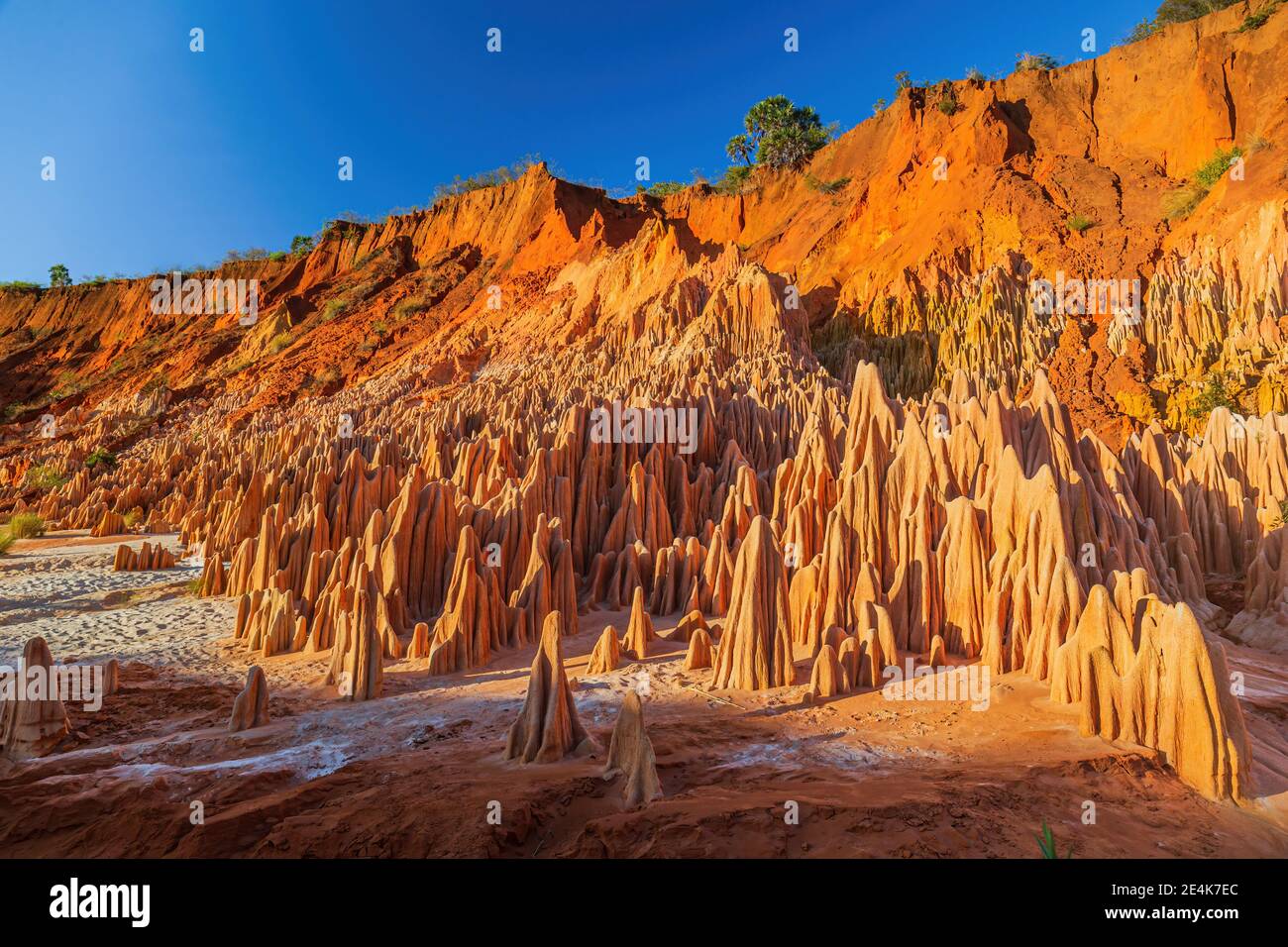Red tsingy in madagascar hi-res stock photography and images - Alamy