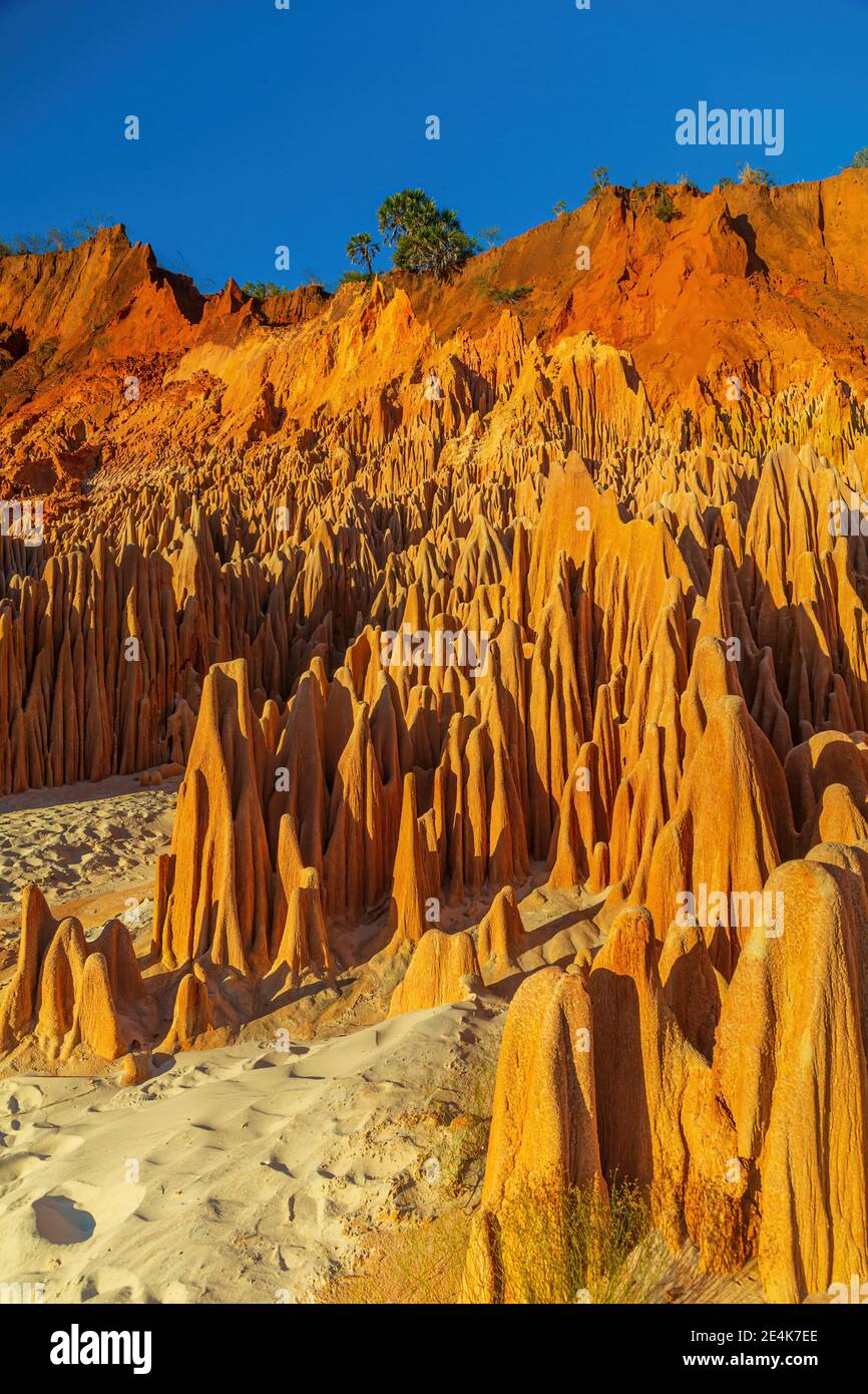 Tsingy rouge, madagascar hi-res stock photography and images - Alamy