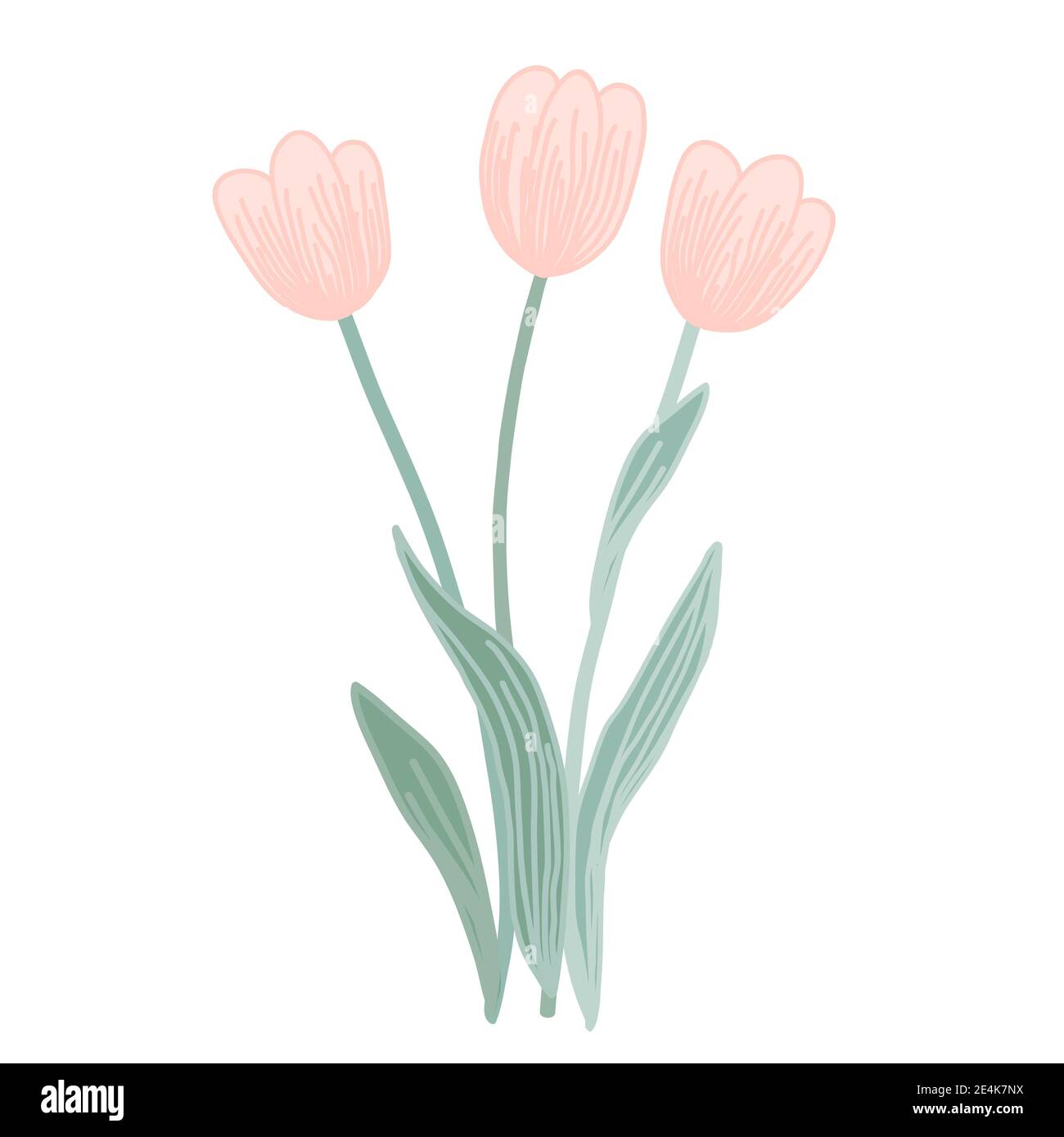 Vintage tulip illustration hi-res stock photography and images - Alamy