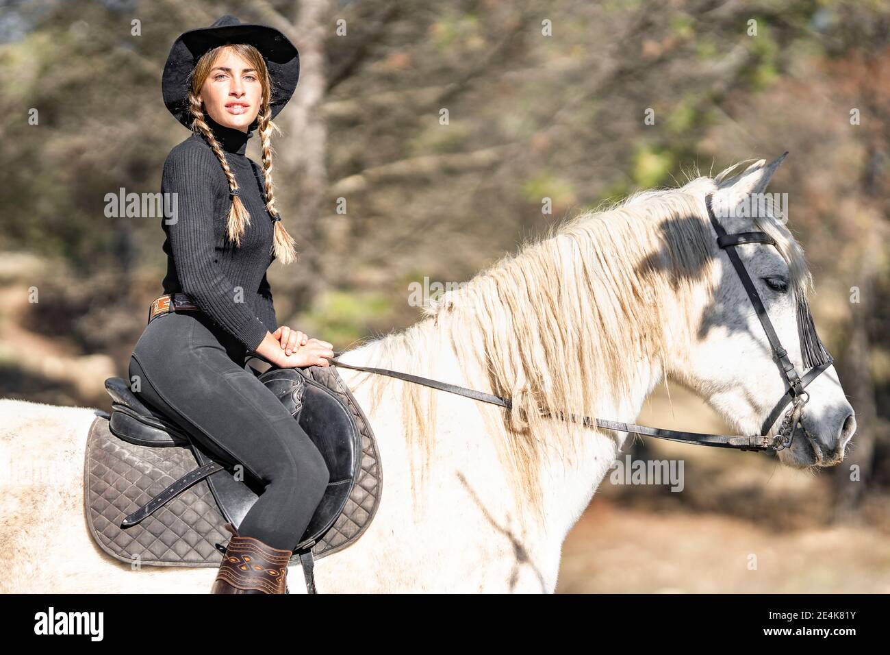Riding paddock hi-res stock photography and images - Alamy