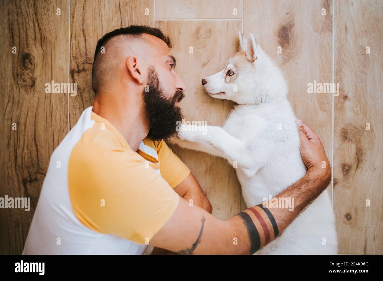 Siberian husky puppy hi-res stock photography and images - Alamy