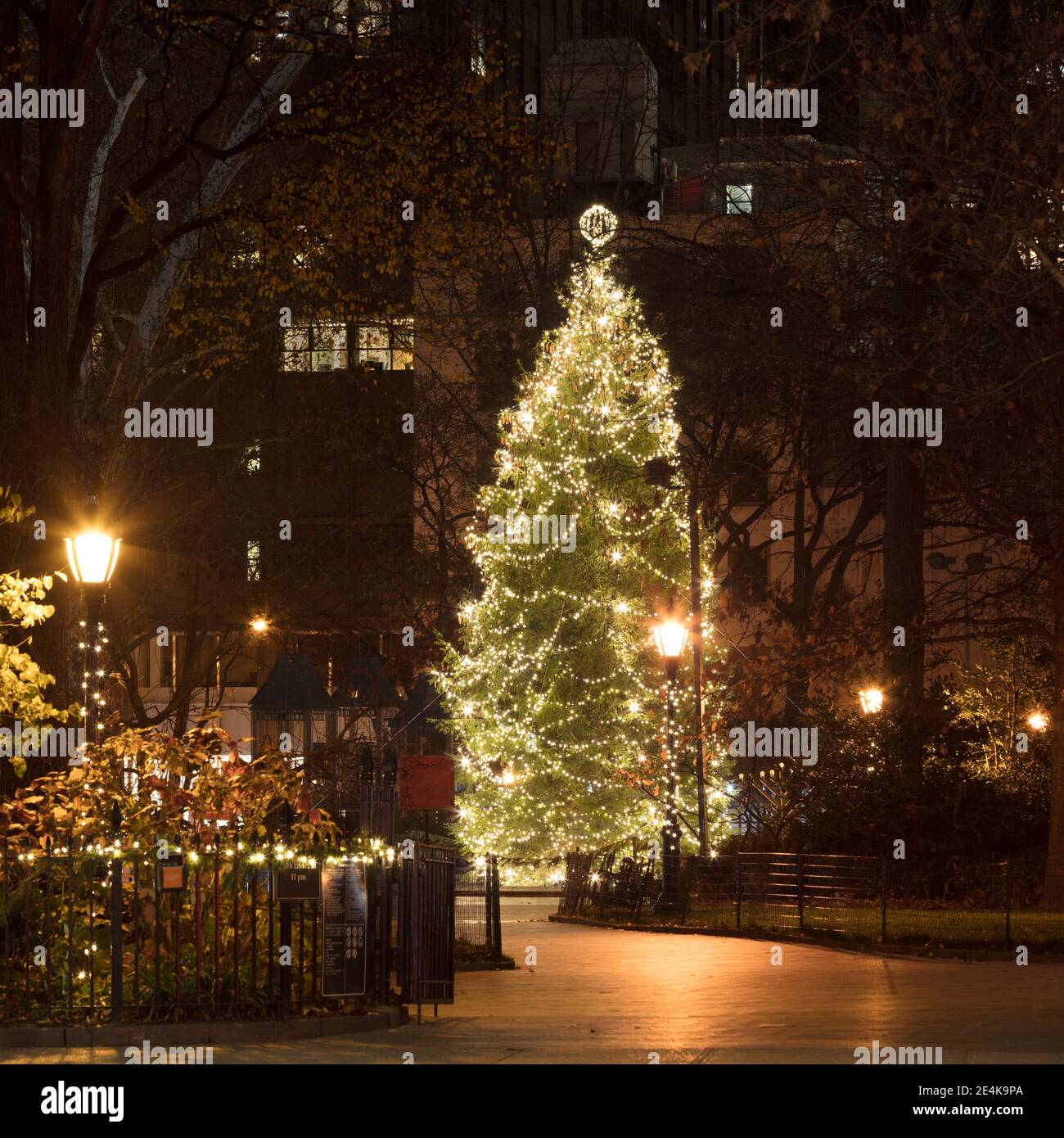 Christmas tree illuminated night madis square park hi-res stock ...