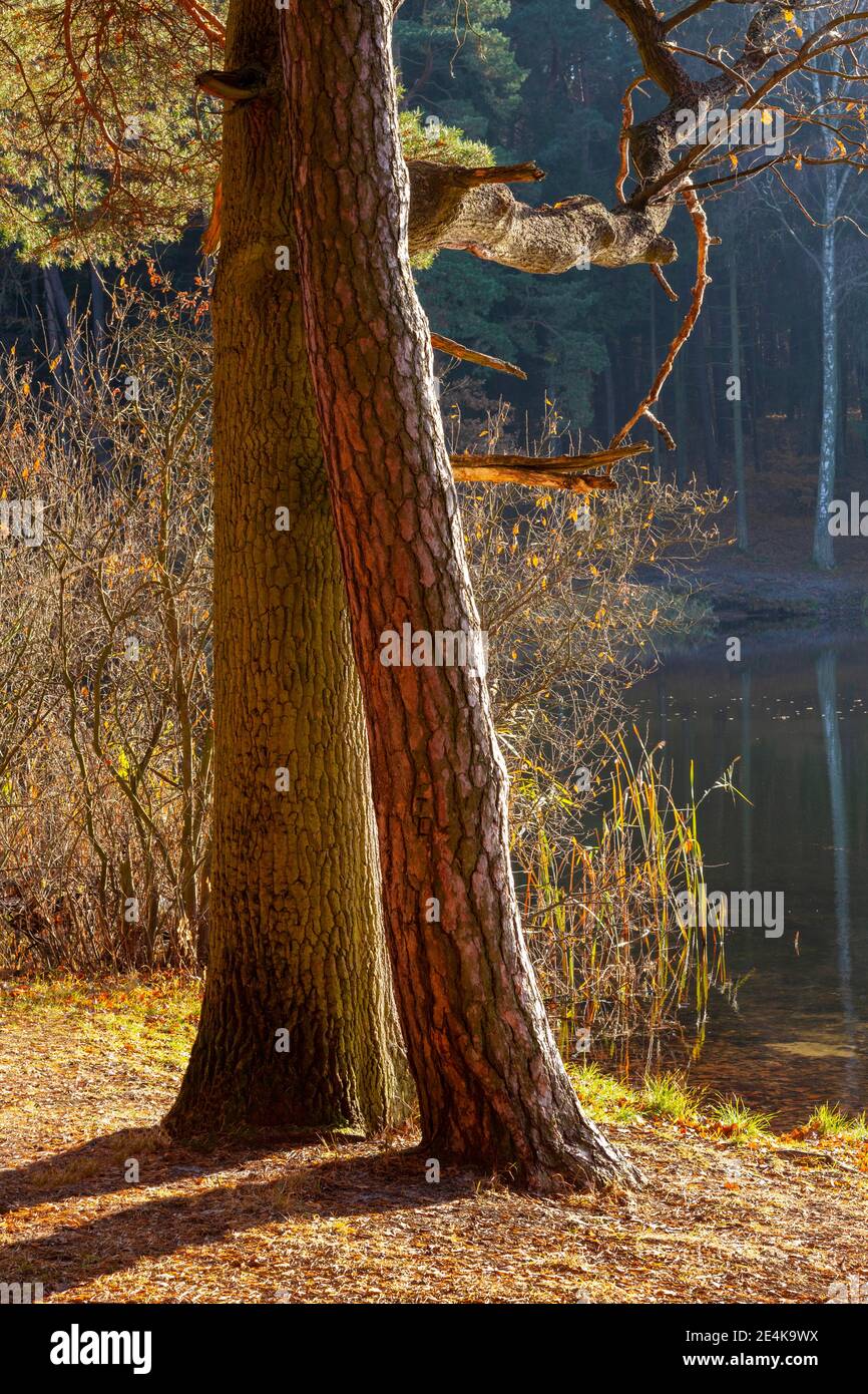 Warmia and Masuria, Poland, Europe Stock Photo - Alamy