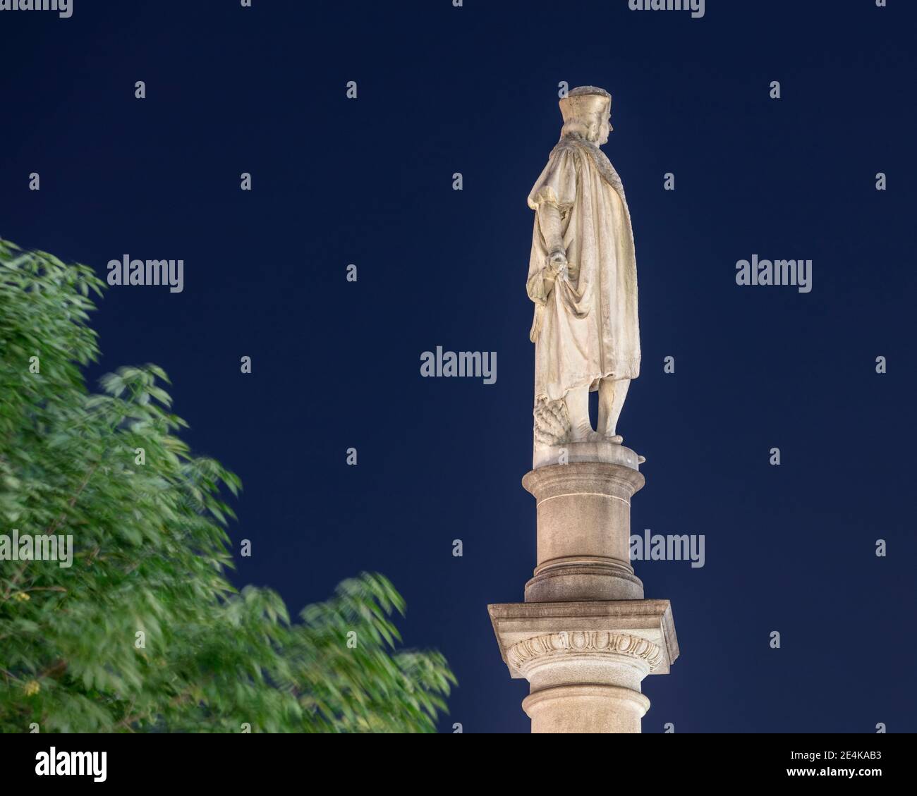 Christopher columbus tree hi-res stock photography and images - Alamy