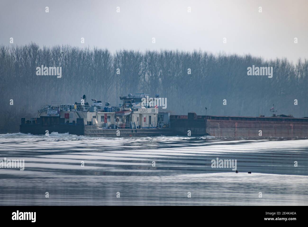 cargo boat behind reed on the danube river in austria Stock Photo - Alamy