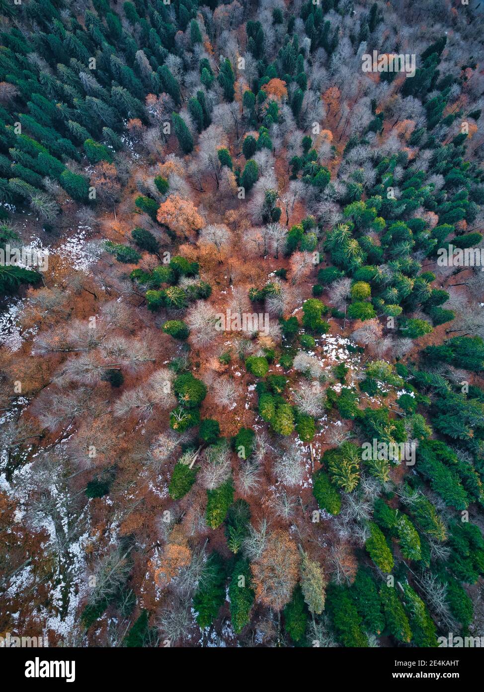 Aerial view autumn forest hi-res stock photography and images - Alamy