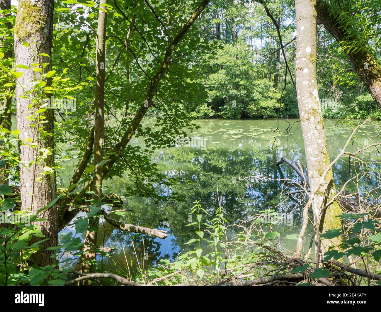Green springtime hi-res stock photography and images - Alamy