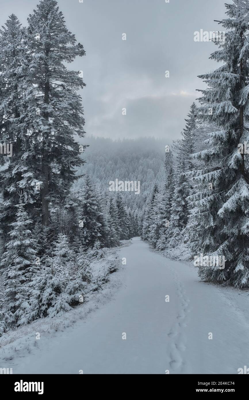 Remote pathway hi-res stock photography and images - Alamy