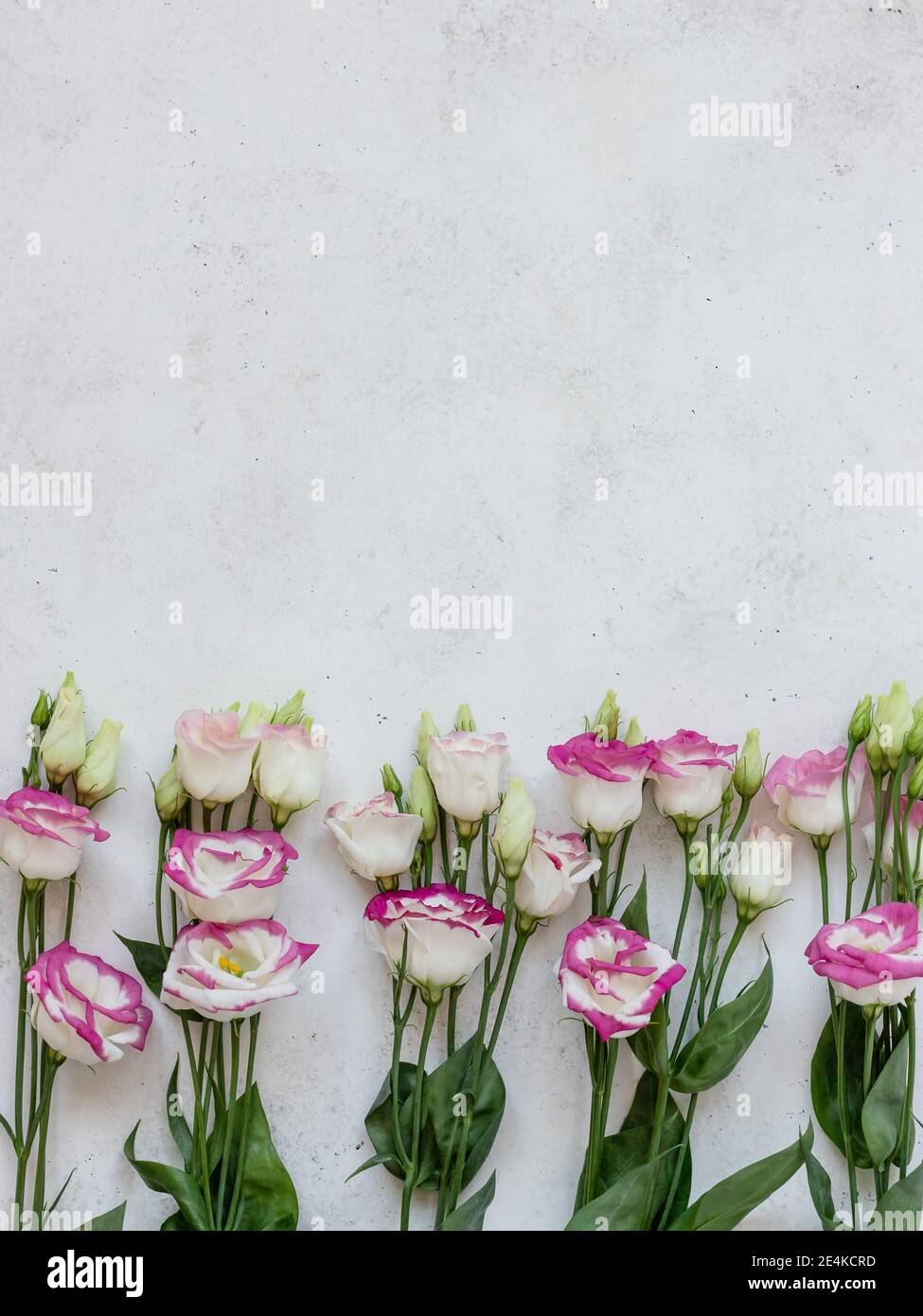 Beautiful floral card concept hi-res stock photography and images - Alamy