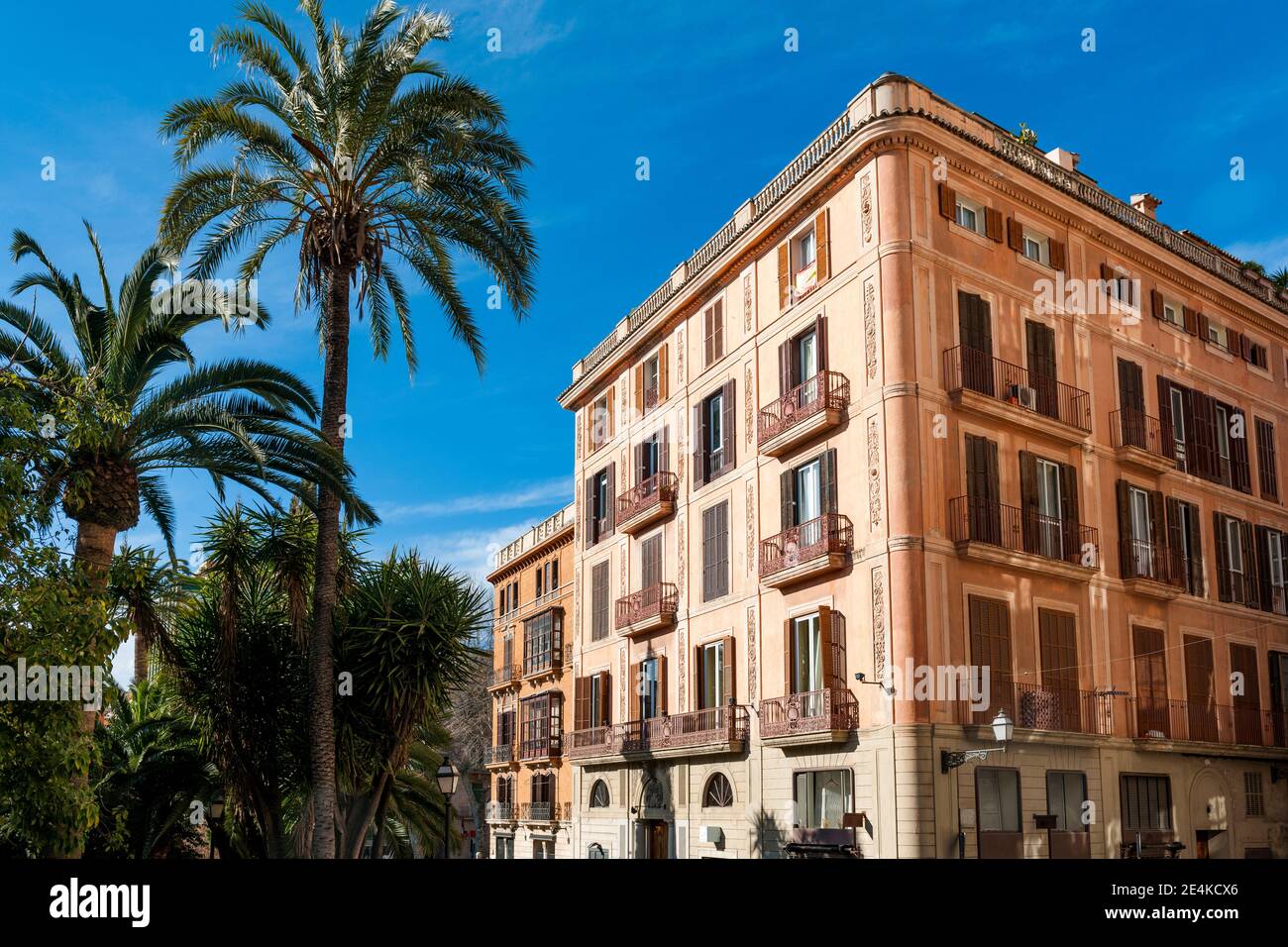 Palm of mallorca hi-res stock photography and images - Alamy