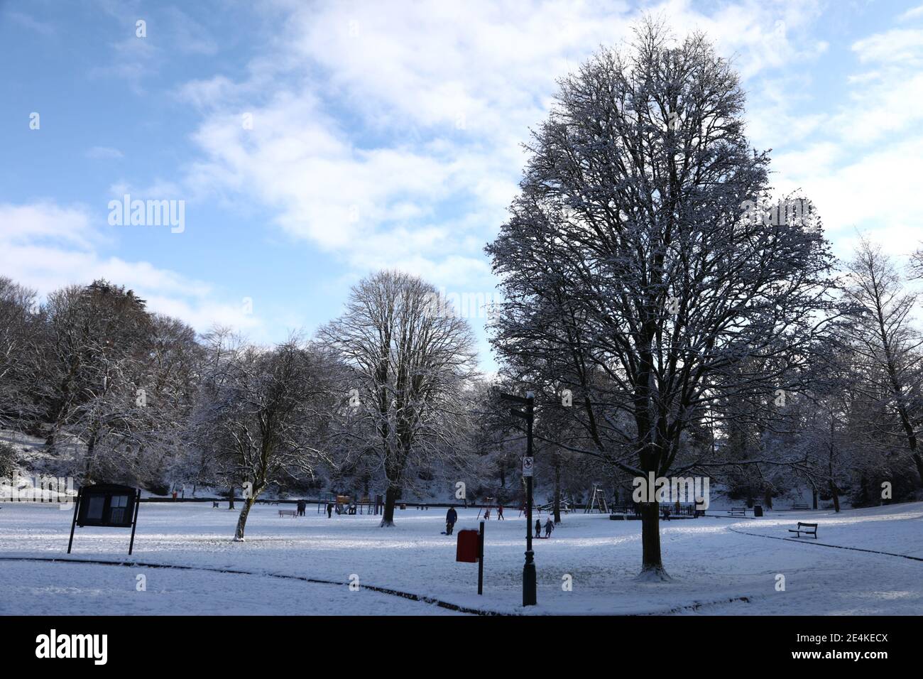 Thomastown Park, Merthyr Tydfil, South Wales, UK. 24 January 2021. UK ...