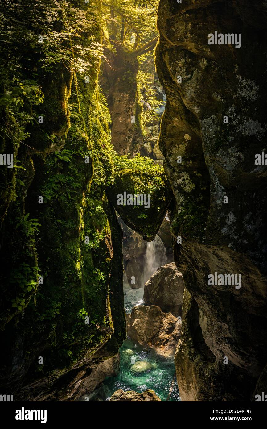 Gorge with river Stock Photo - Alamy