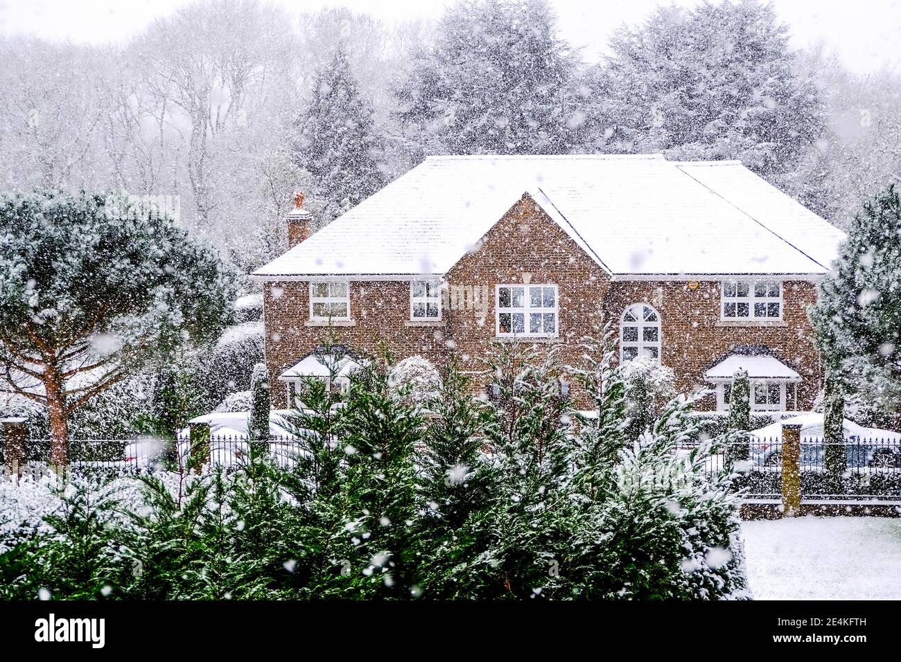 Epsom Surrey London UK, January 24 2021, Fresh Snow Falling In A Rural ...