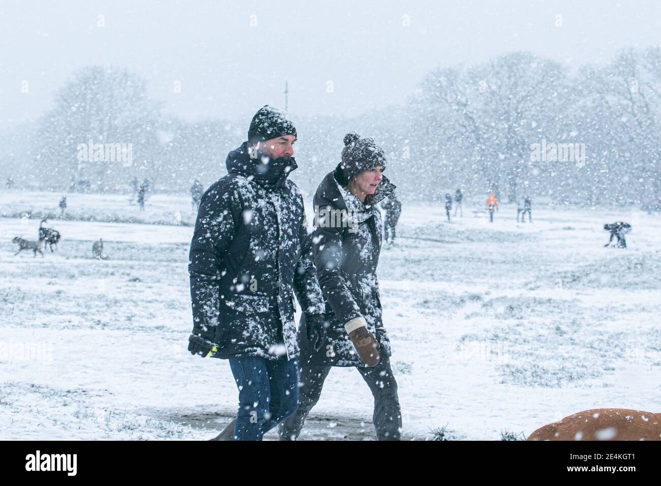 WIMBLEDON LONDON, UK 24 January 2021. Residents are caught in snow ...