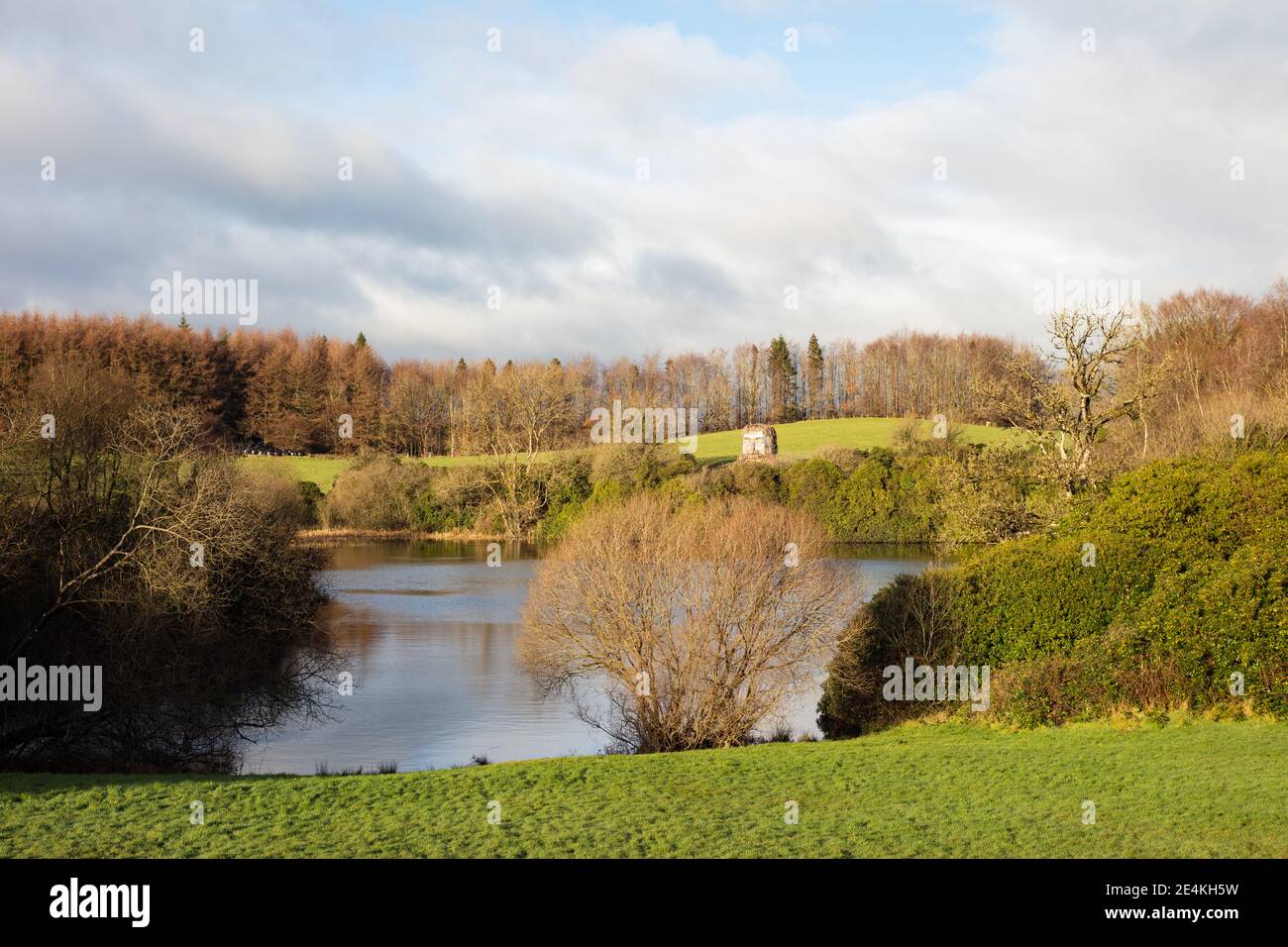 Rossmore park hi-res stock photography and images - Alamy