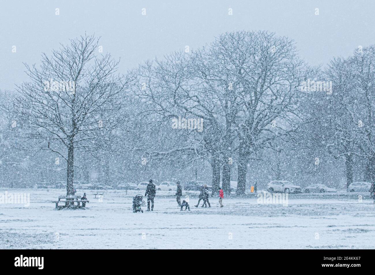 WIMBLEDON LONDON, UK 24 January 2021. Residents are caughts in a snow ...