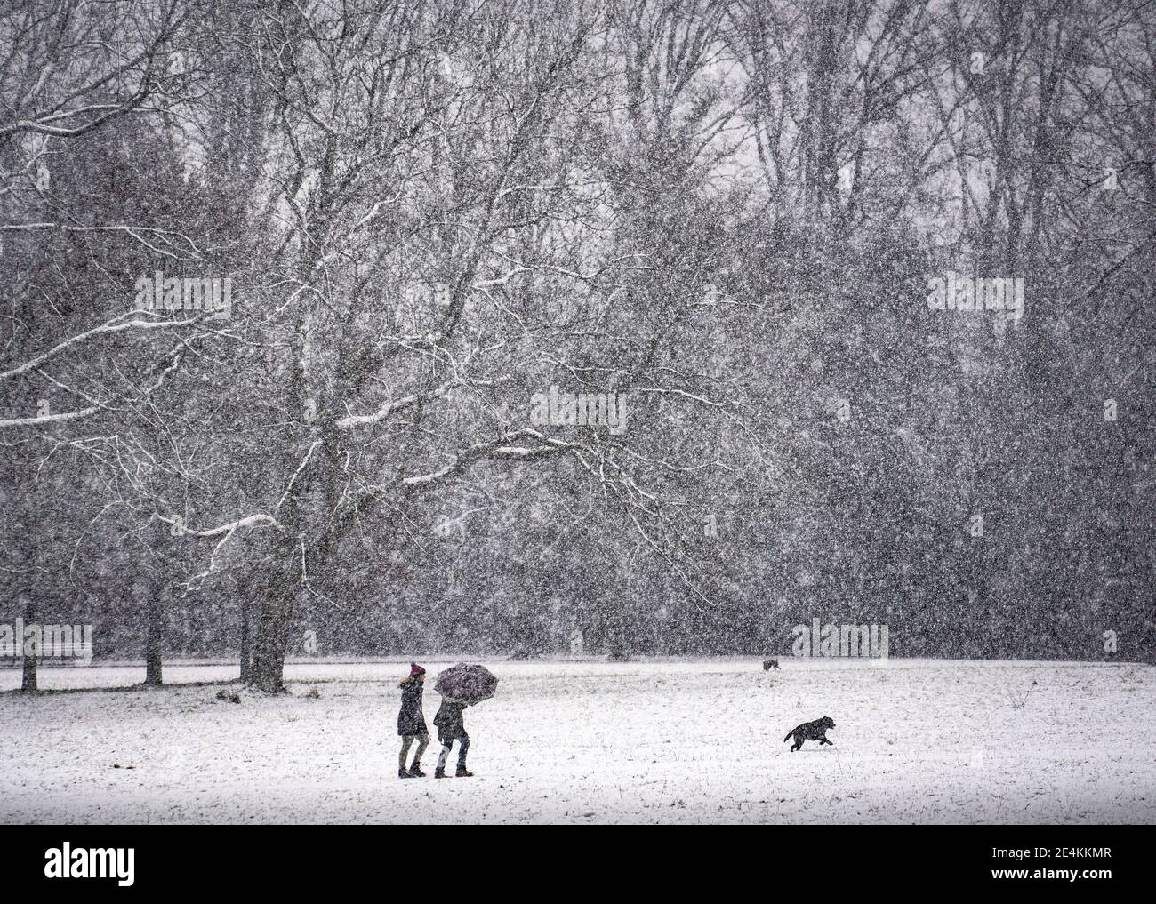 24 January 2021, Hessen, Frankfurt/Main: Two people walk a dog through ...